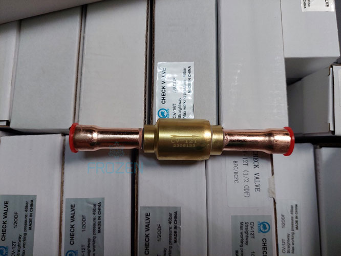 Van một chiều – Check valve – CÔNG TY CỔ PHẦN FROZEN